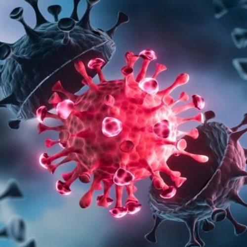 Valley University of Science and Technology – Education For Self Resilience