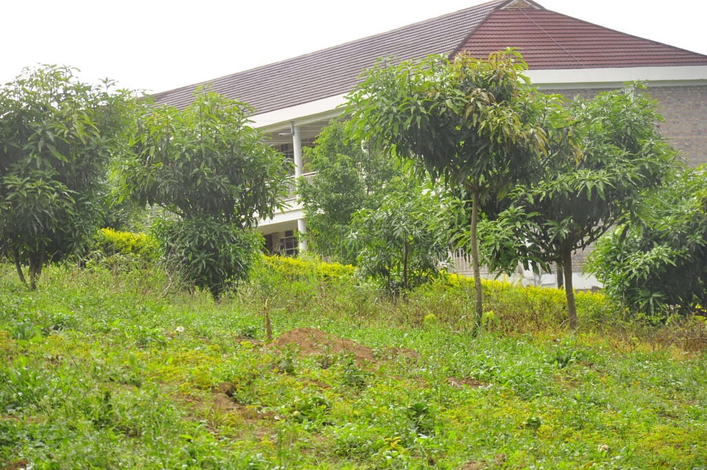 Study Programmes – Valley University of Science and Technology